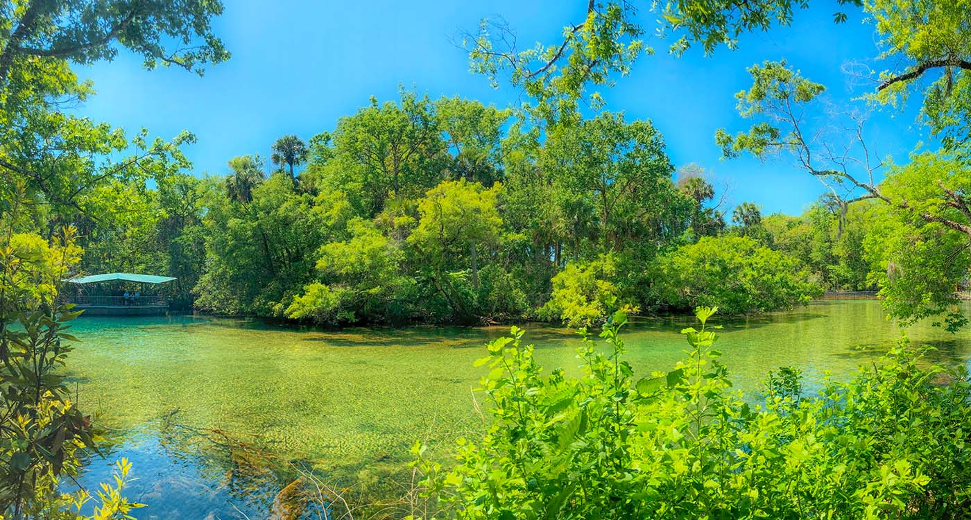 Blog | Homosassa Springs Wildlife Adventures