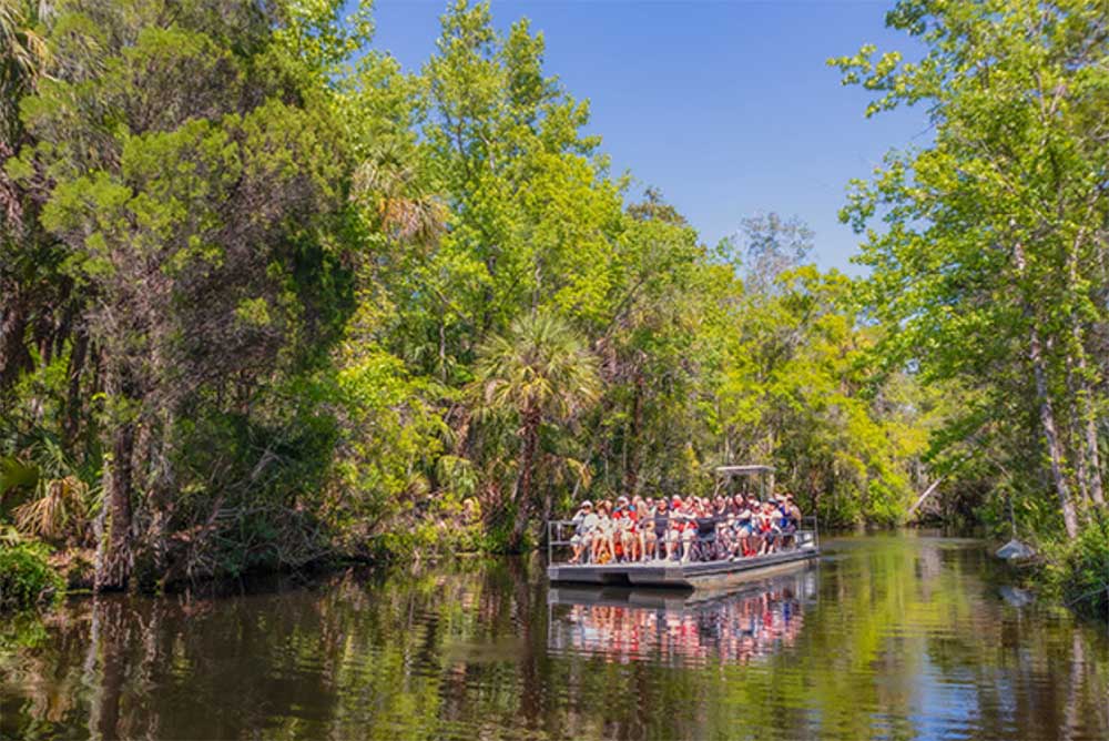 Discovering Homosassa Springs Wildlife State Park: A Visitor’s Guide ...