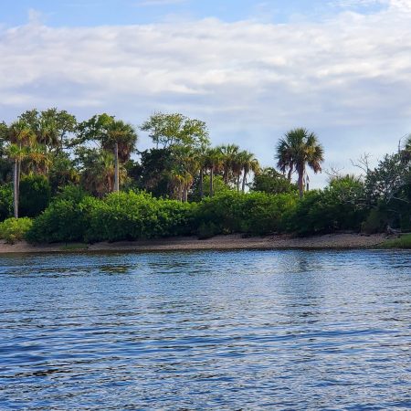 A Wildlife Lover’s Guide to Homosassa Springs State Park | Homosassa ...